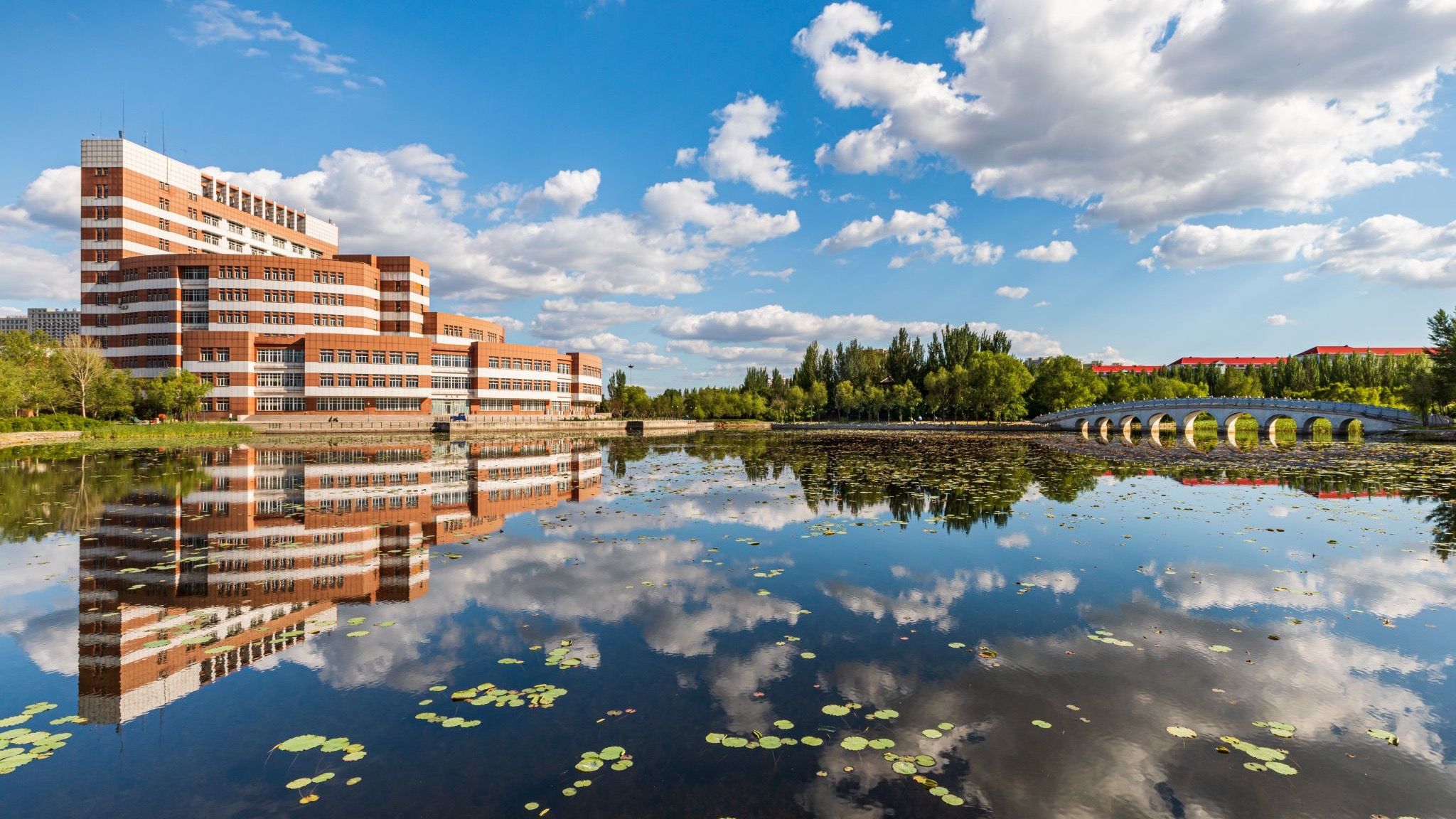 我校参加黑龙江省高等教育2024年重点工作部署会议-东北石油大学—新闻网